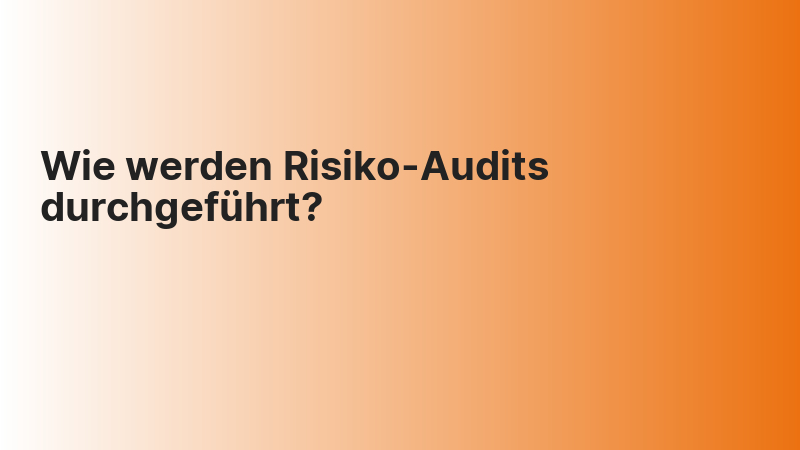 Wie werden Risiko-Audits durchgeführt?